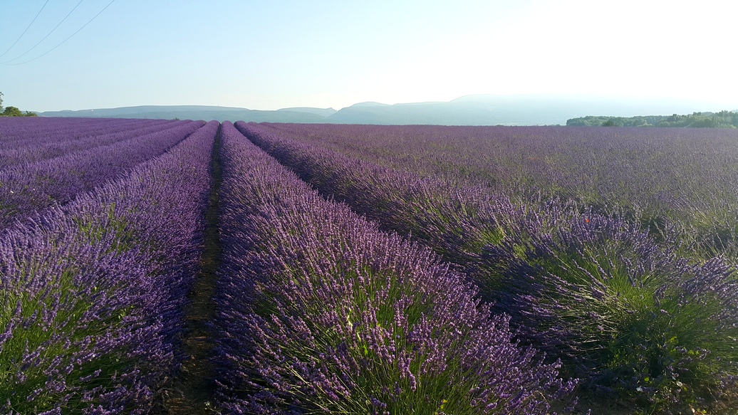 Evropa – Svi mirisi Provanse – Travel Magazine