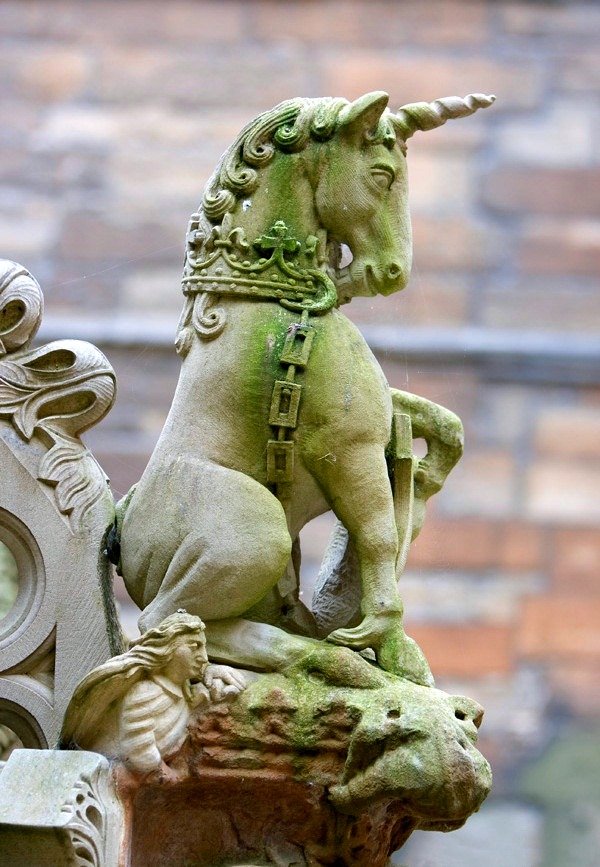 Travel preporuka – Zašto je jednorog simbol Škotske? – Travel Magazine