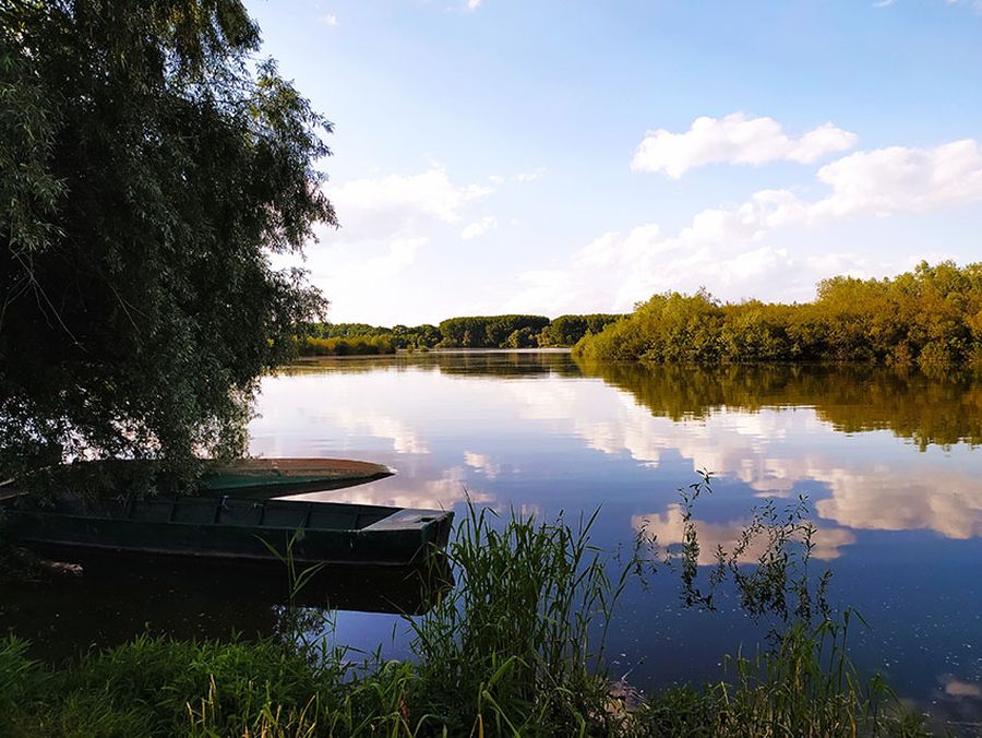 Vaši putopisi – Janda - moćan Dunav, netaknuta priroda Srema i jedna ...